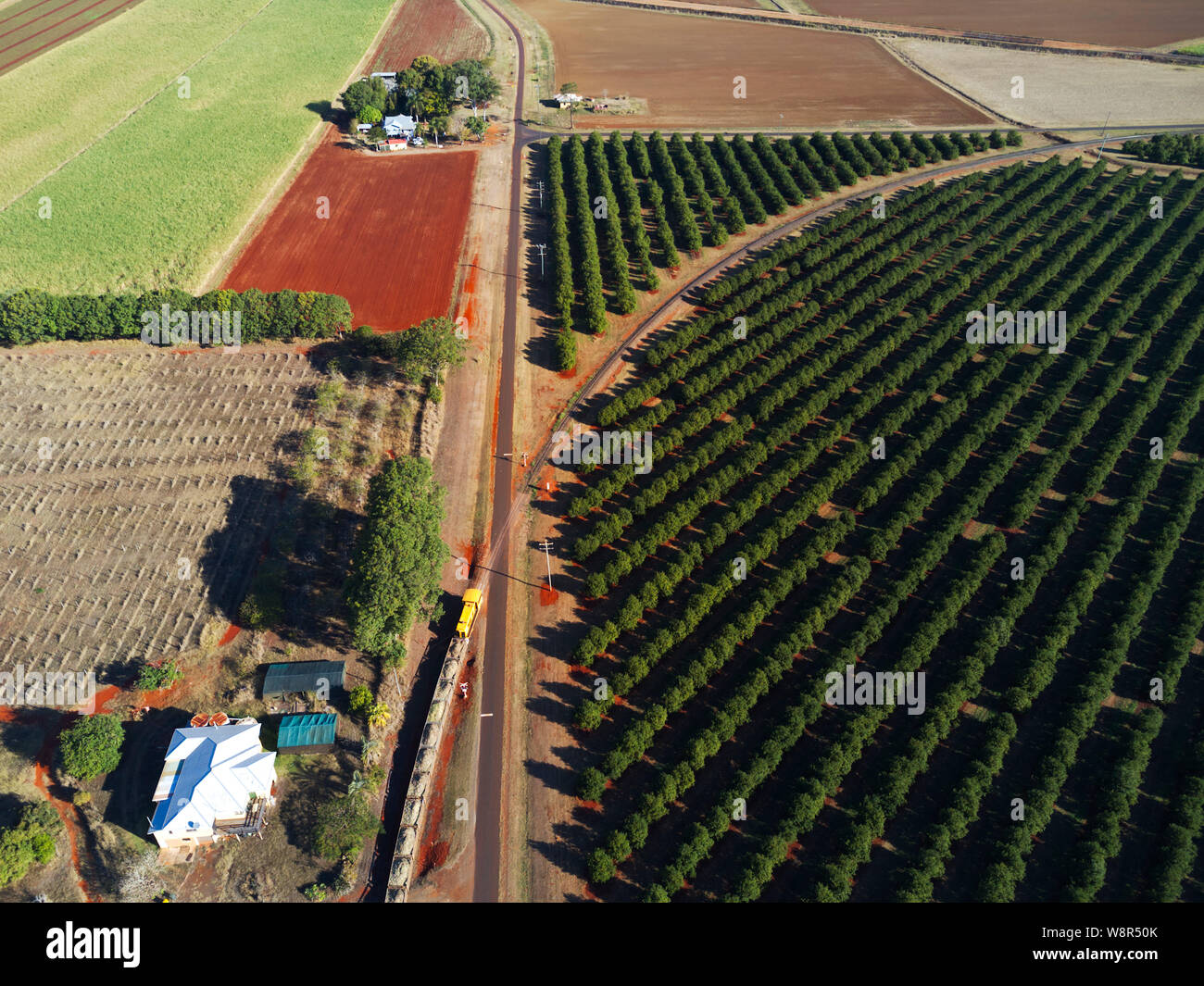 Australian sugarcane railway train hi-res stock photography and images ...