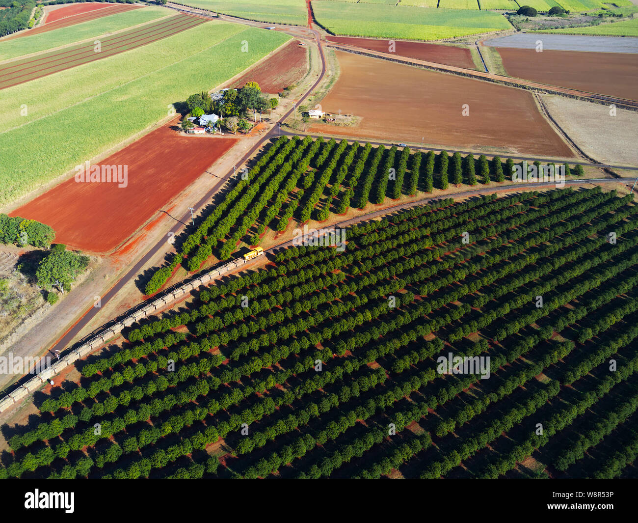 Aerial of a sugar cane train hauling freshly cut sugar cane to the Isis ...
