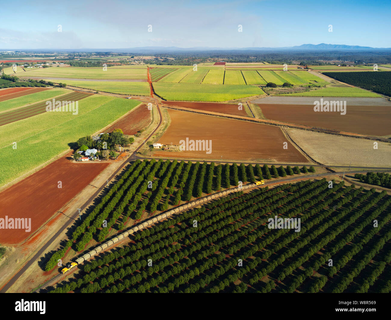 Aerial of a sugar cane train hauling freshly cut sugar cane to the Isis ...