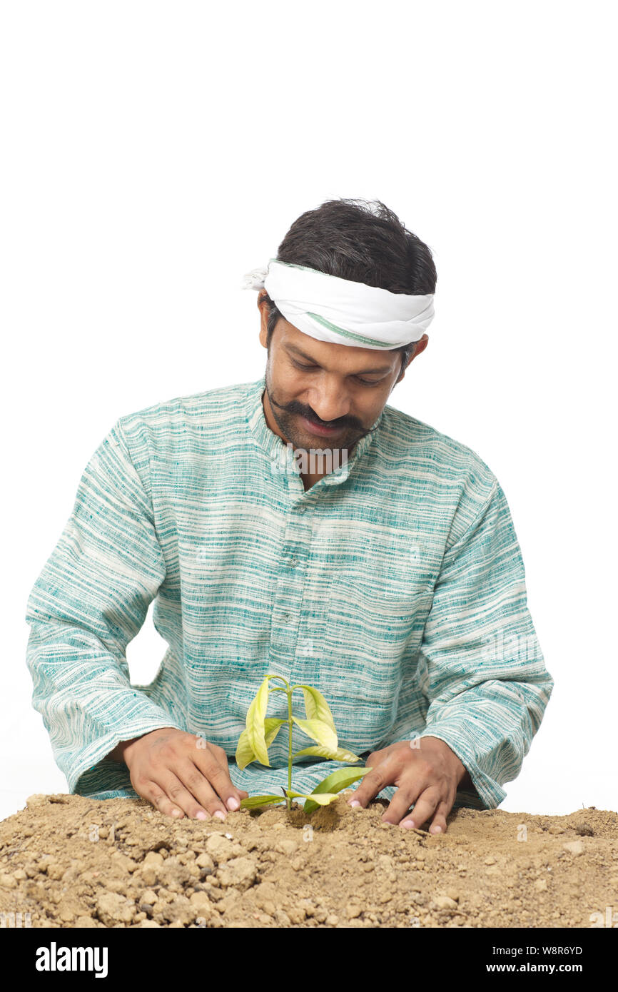 Rural man planting seedling in soil Stock Photo - Alamy
