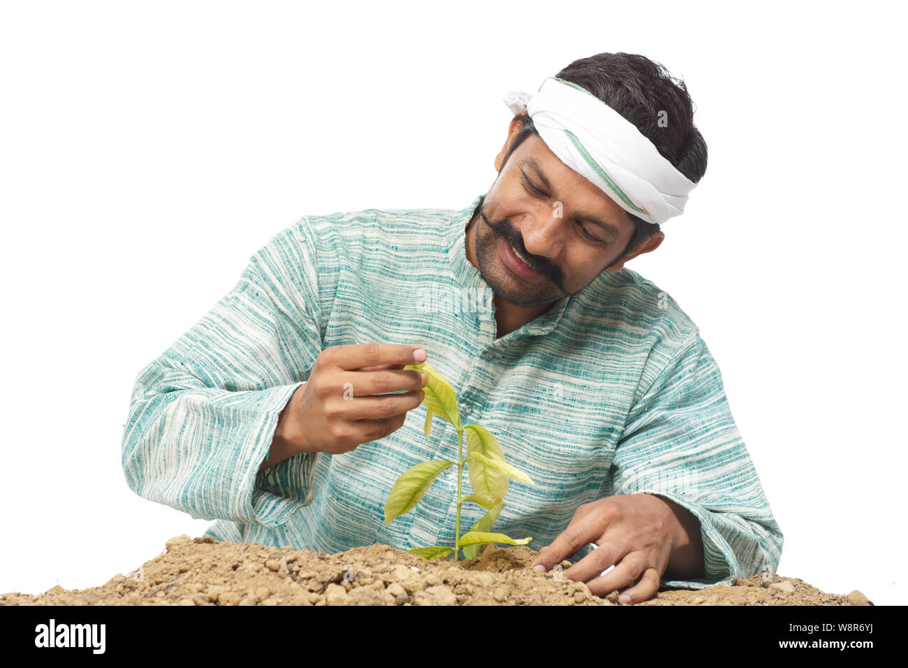 Rural man examining a plant Stock Photo - Alamy