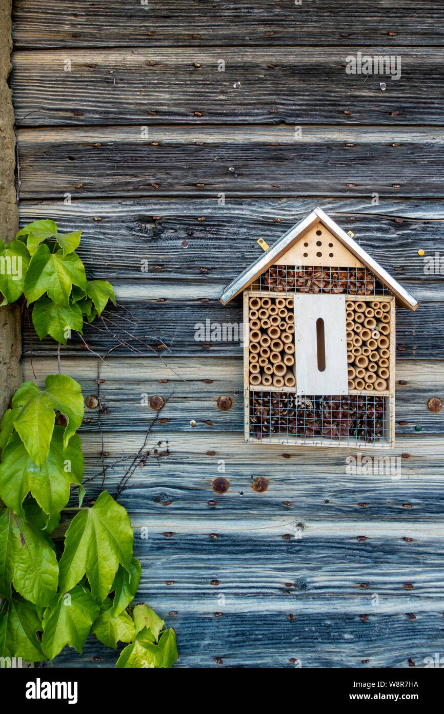 Tiny wood bee house Stock Photo - Alamy