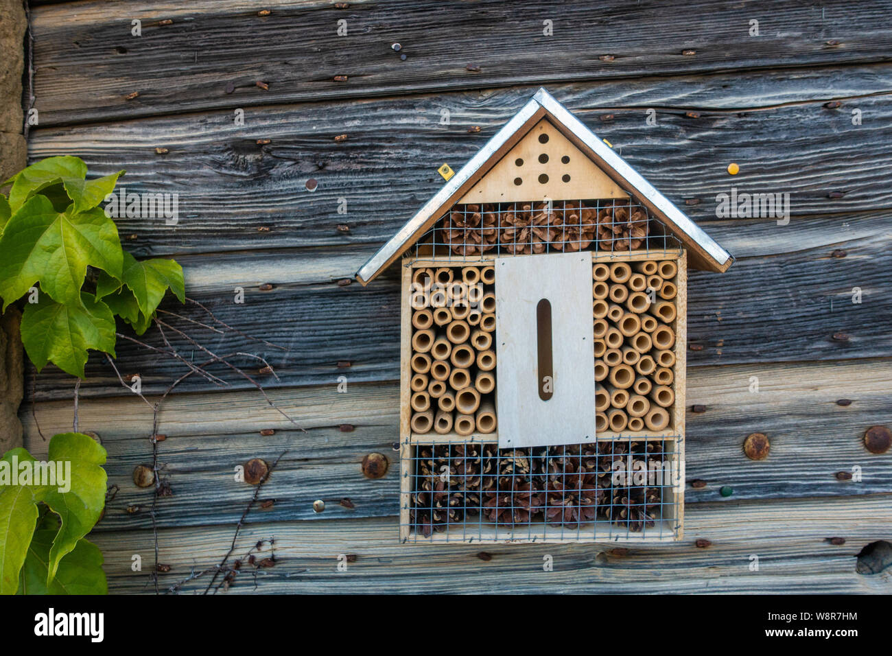 Little bee house hi-res stock photography and images - Alamy