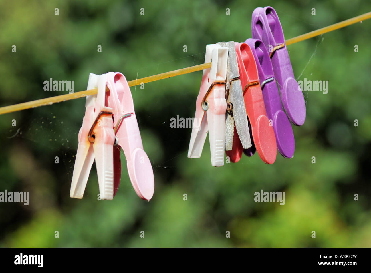 Just hanging there, pegs on a washing line Stock Photo - Alamy
