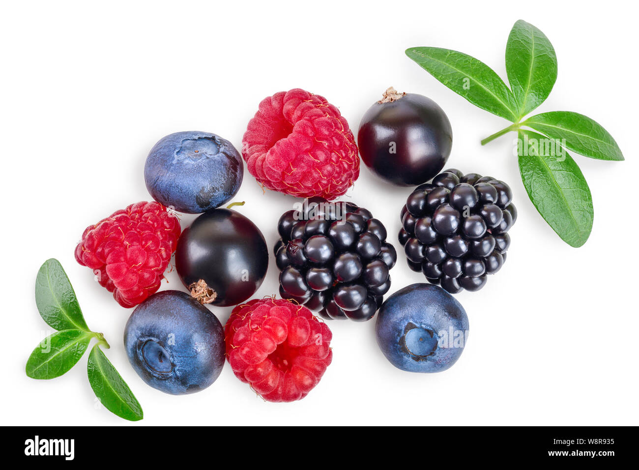 mix of blackberry blueberry raspberry isolated on white background. Top ...