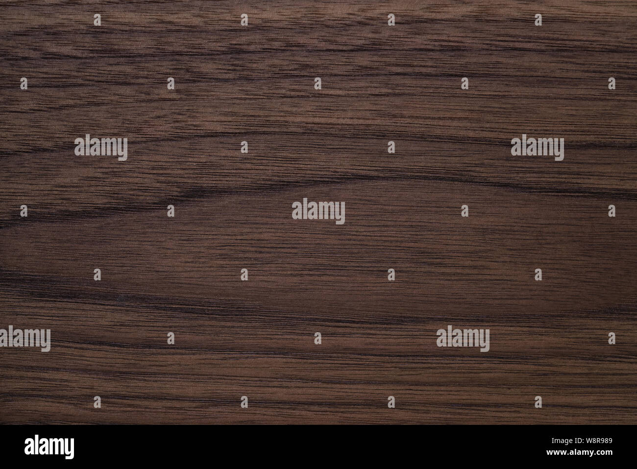 Real black walnut wood texture with natural grain, good for background ...