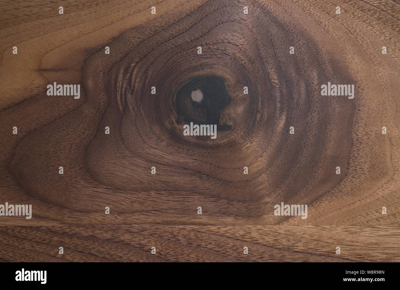 Real black walnut wood texture with natural grain, good for background ...