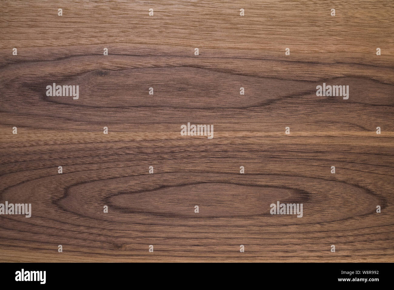 Real black walnut wood texture with natural grain, good for background ...