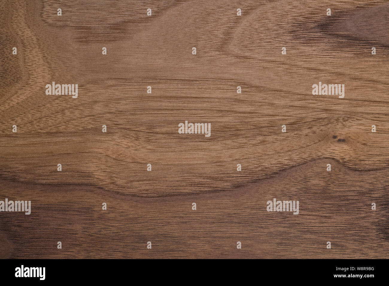 Real black walnut wood texture with natural grain, good for background ...