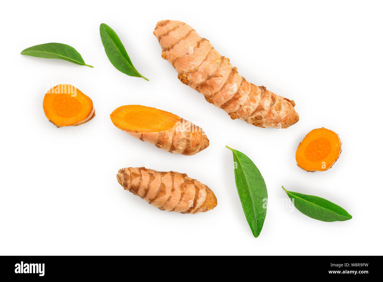 Turmeric root and slice isolated on white background with copy space ...