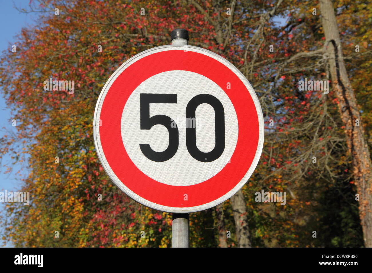 traffic sign speed limit 50 Stock Photo - Alamy