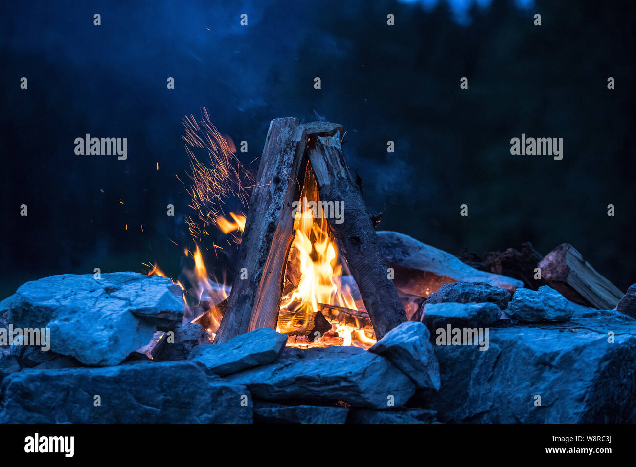 Forest bonfire in the summer, camping time with friends. Copy space ...