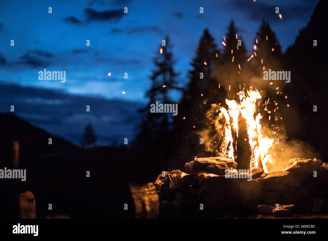 Forest bonfire in the summer, camping time with friends. Copy space ...