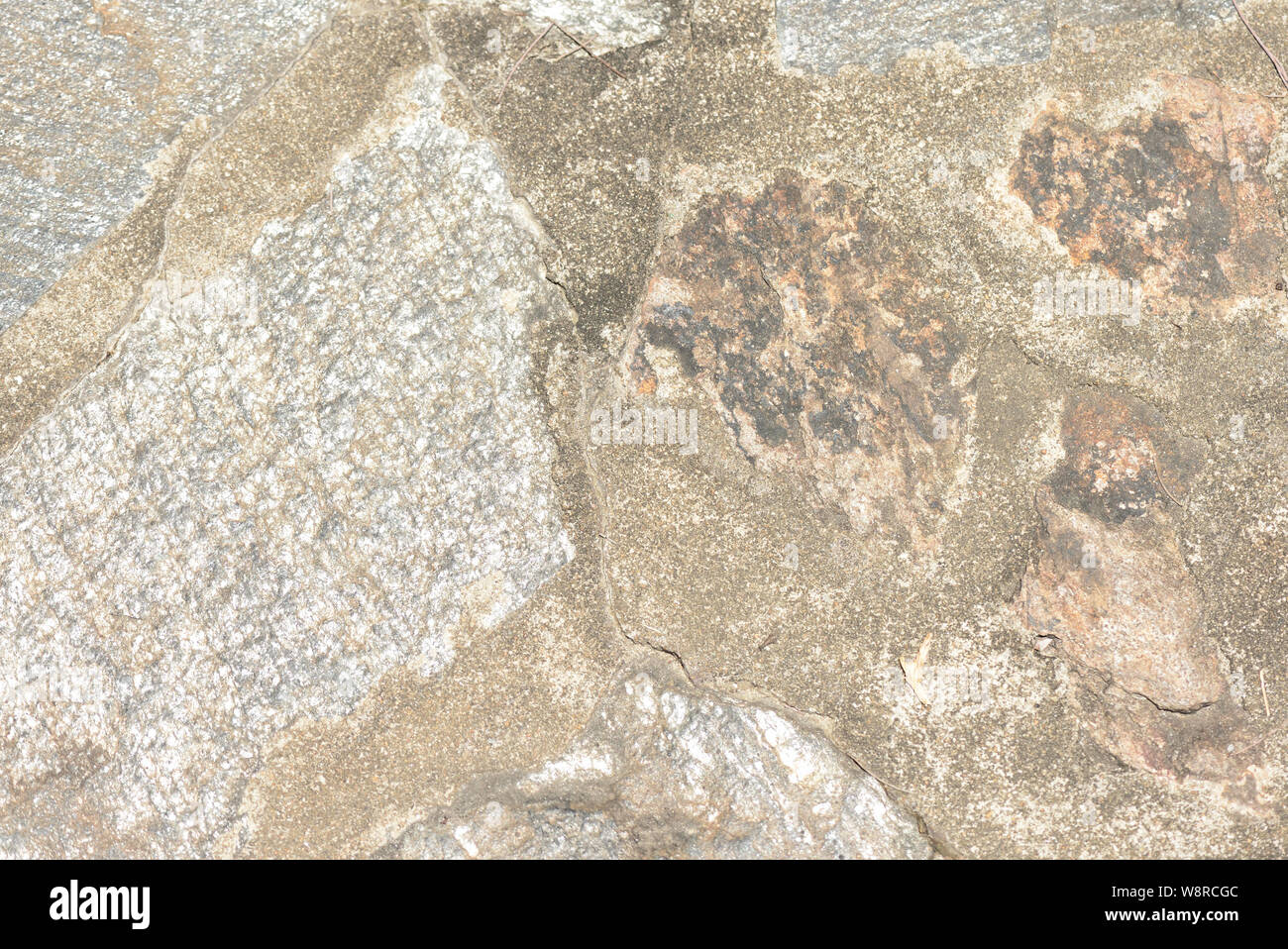 Stone path close up in the garden. Abstract background Stock Photo - Alamy