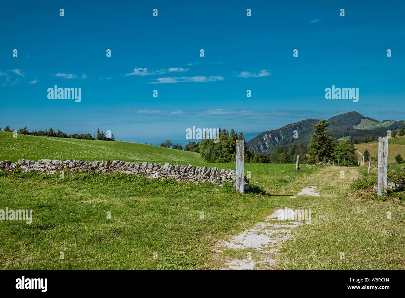 hiking on weissenstein mountain in switzerland, panorama of swiss alps ...