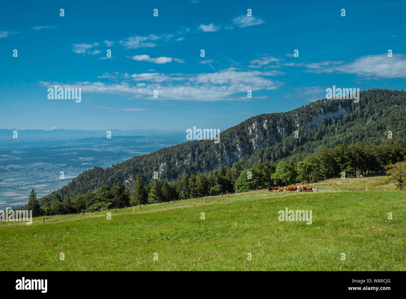 hiking on weissenstein mountain in switzerland, panorama of swiss alps ...