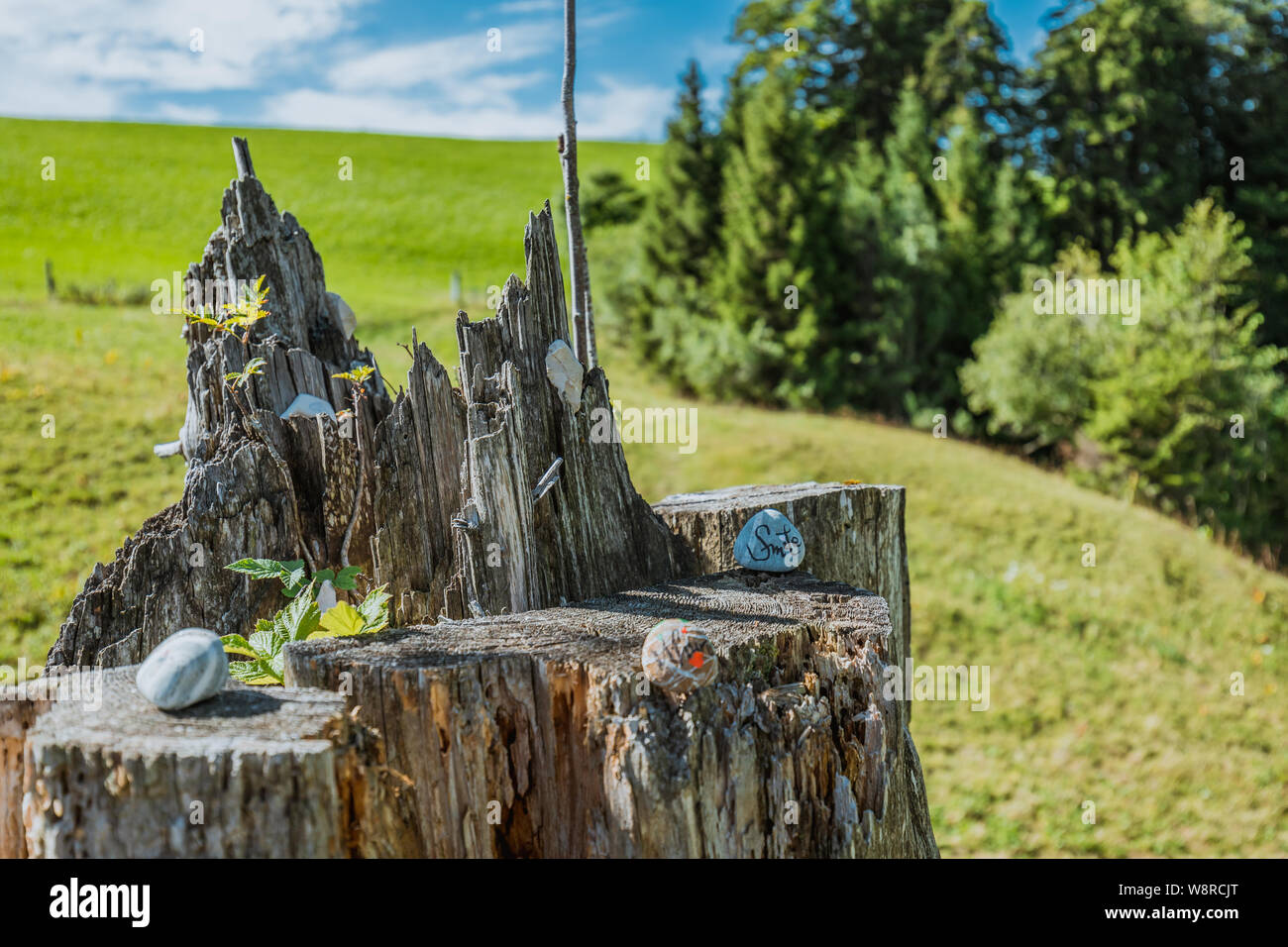 hiking on weissenstein mountain in switzerland, panorama of swiss alps ...