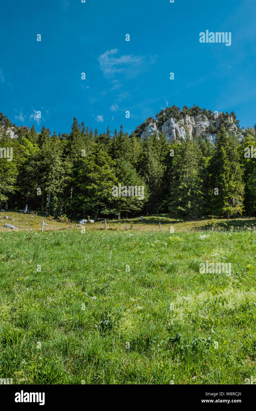 hiking on weissenstein mountain in switzerland, panorama of swiss alps ...
