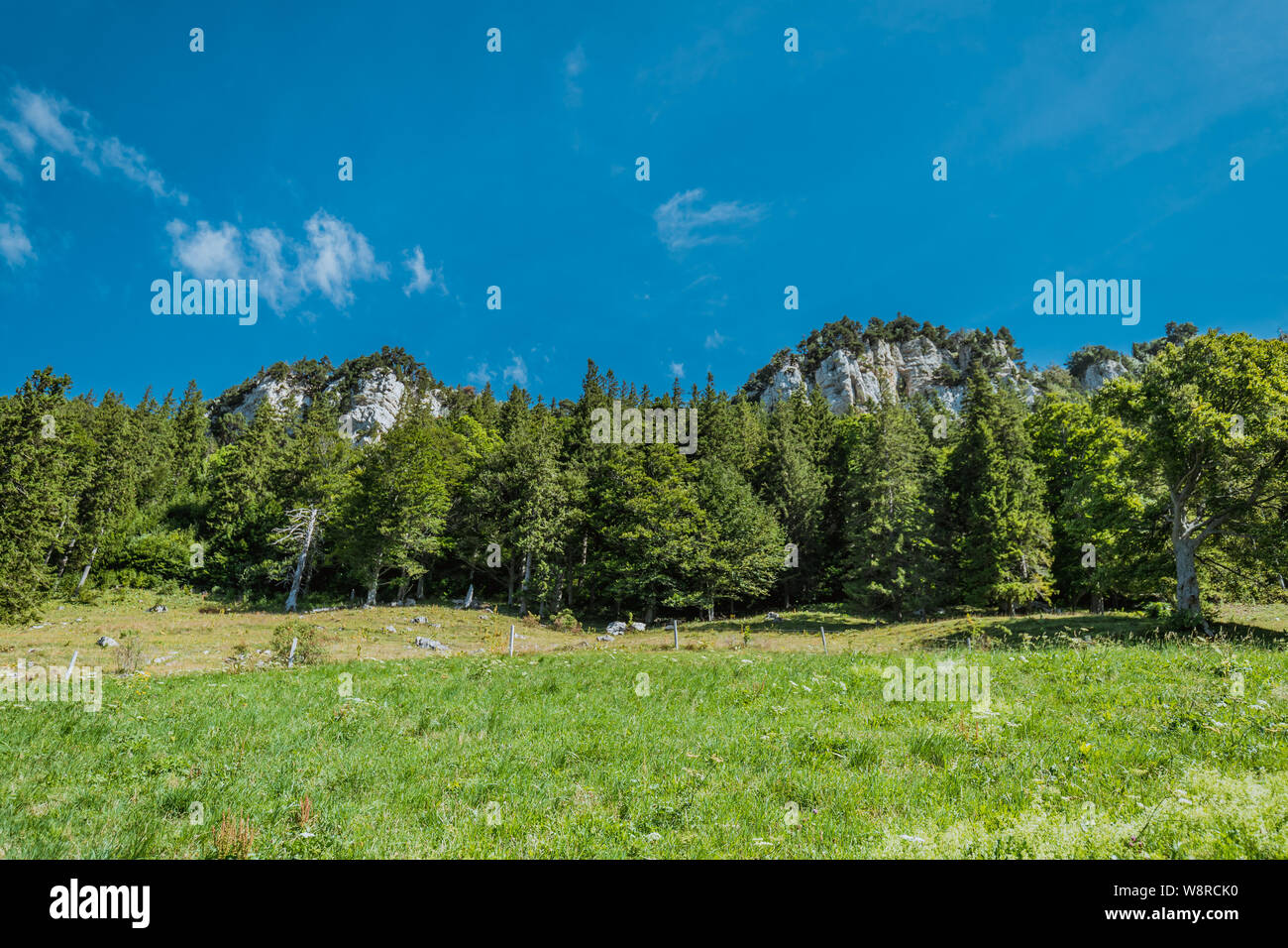 hiking on weissenstein mountain in switzerland, panorama of swiss alps ...