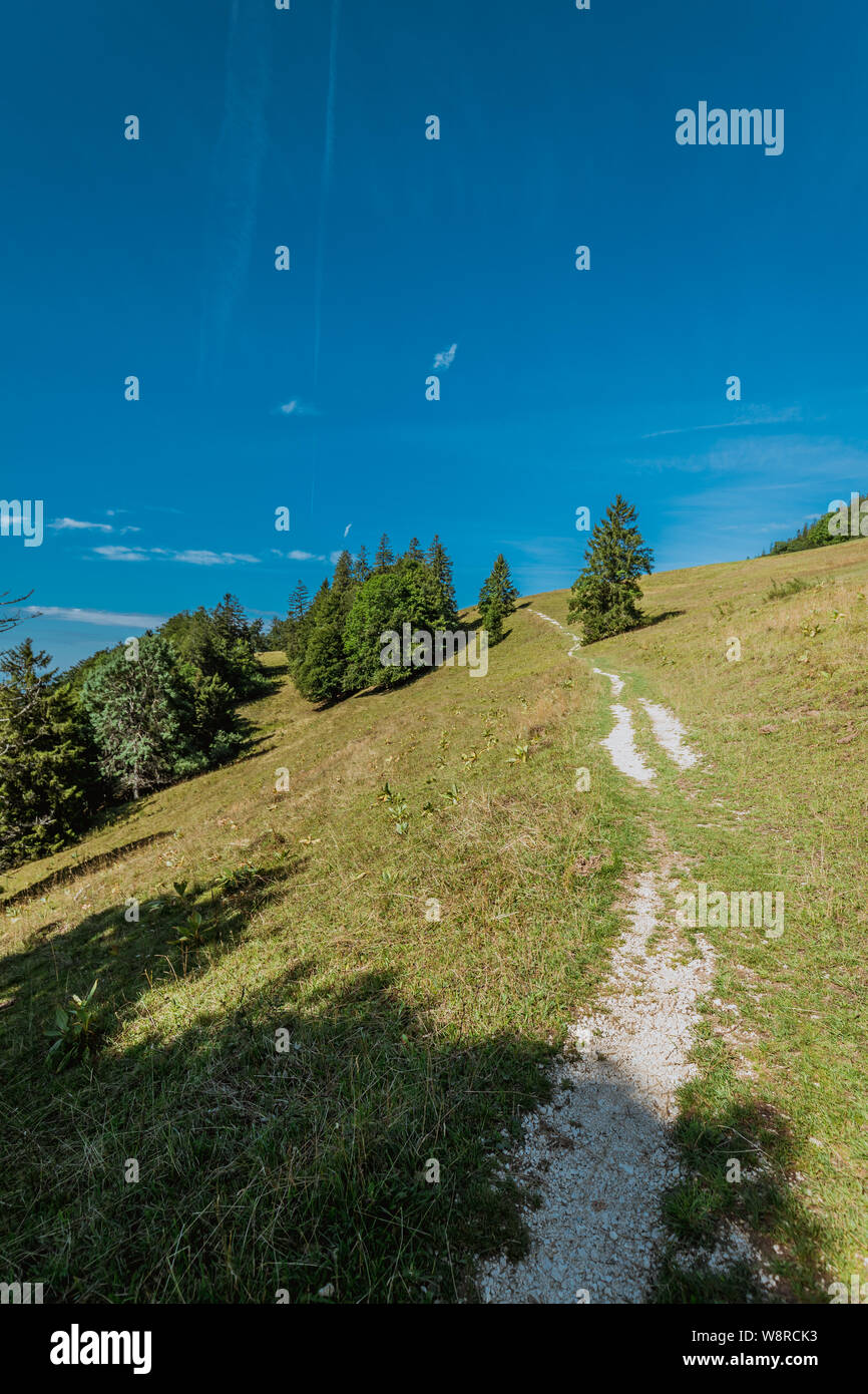 hiking on weissenstein mountain in switzerland, panorama of swiss alps ...