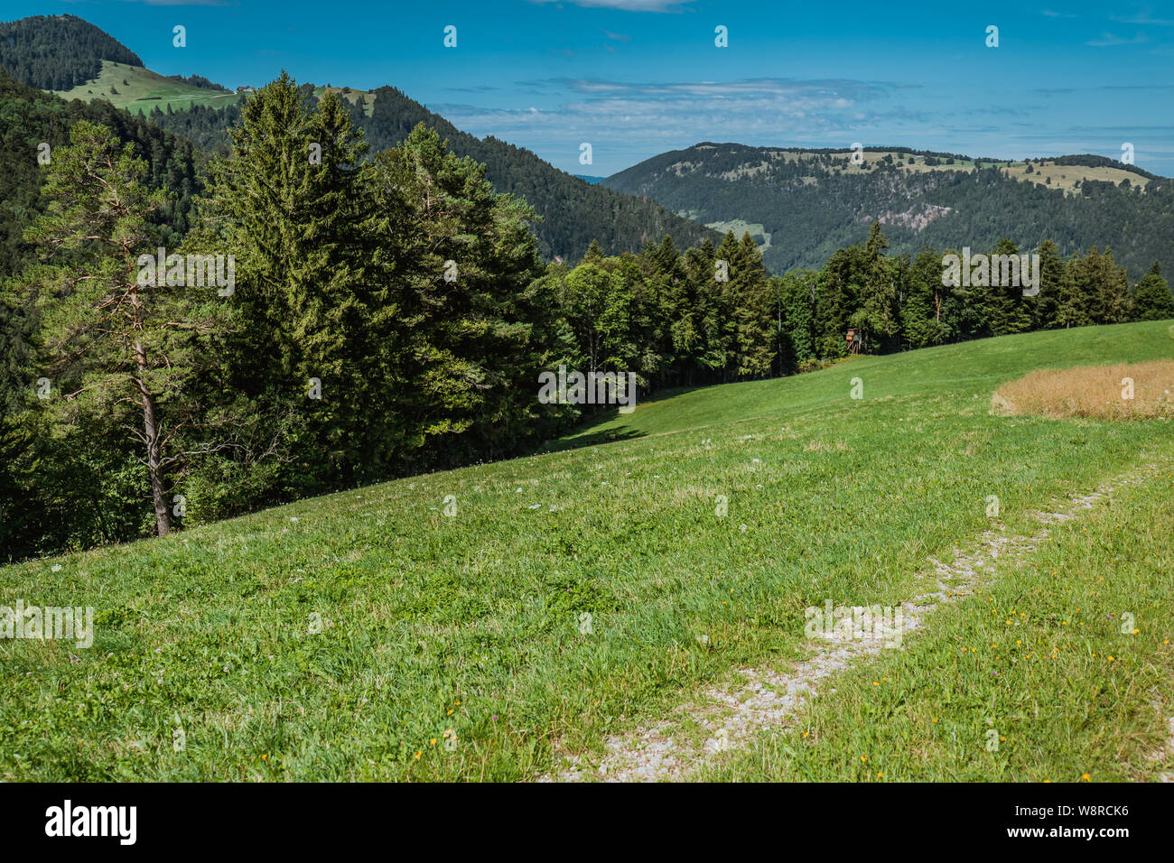 hiking on weissenstein mountain in switzerland, panorama of swiss alps ...