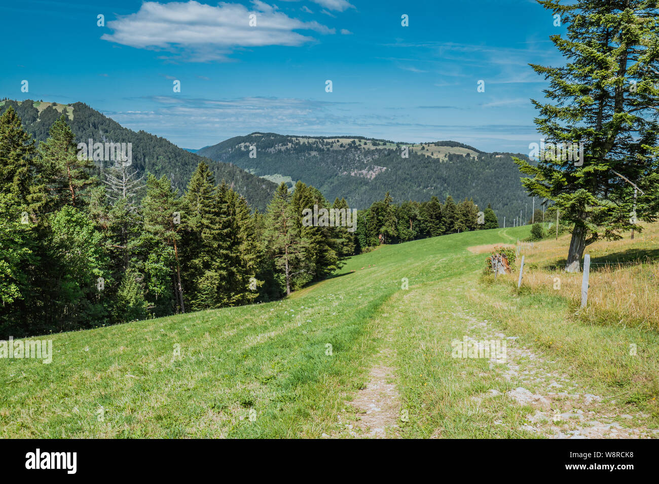 hiking on weissenstein mountain in switzerland, panorama of swiss alps ...
