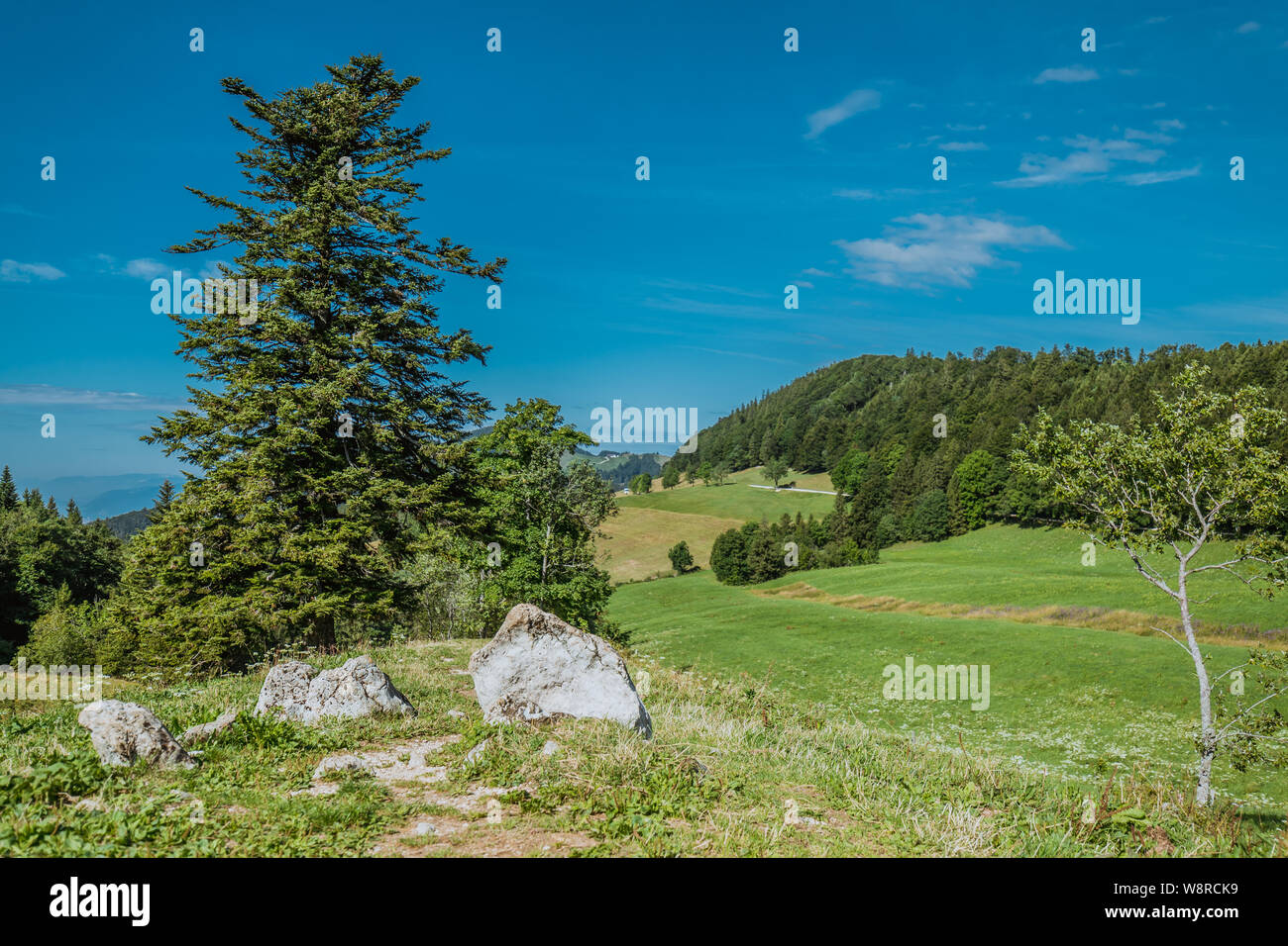 hiking on weissenstein mountain in switzerland, panorama of swiss alps ...