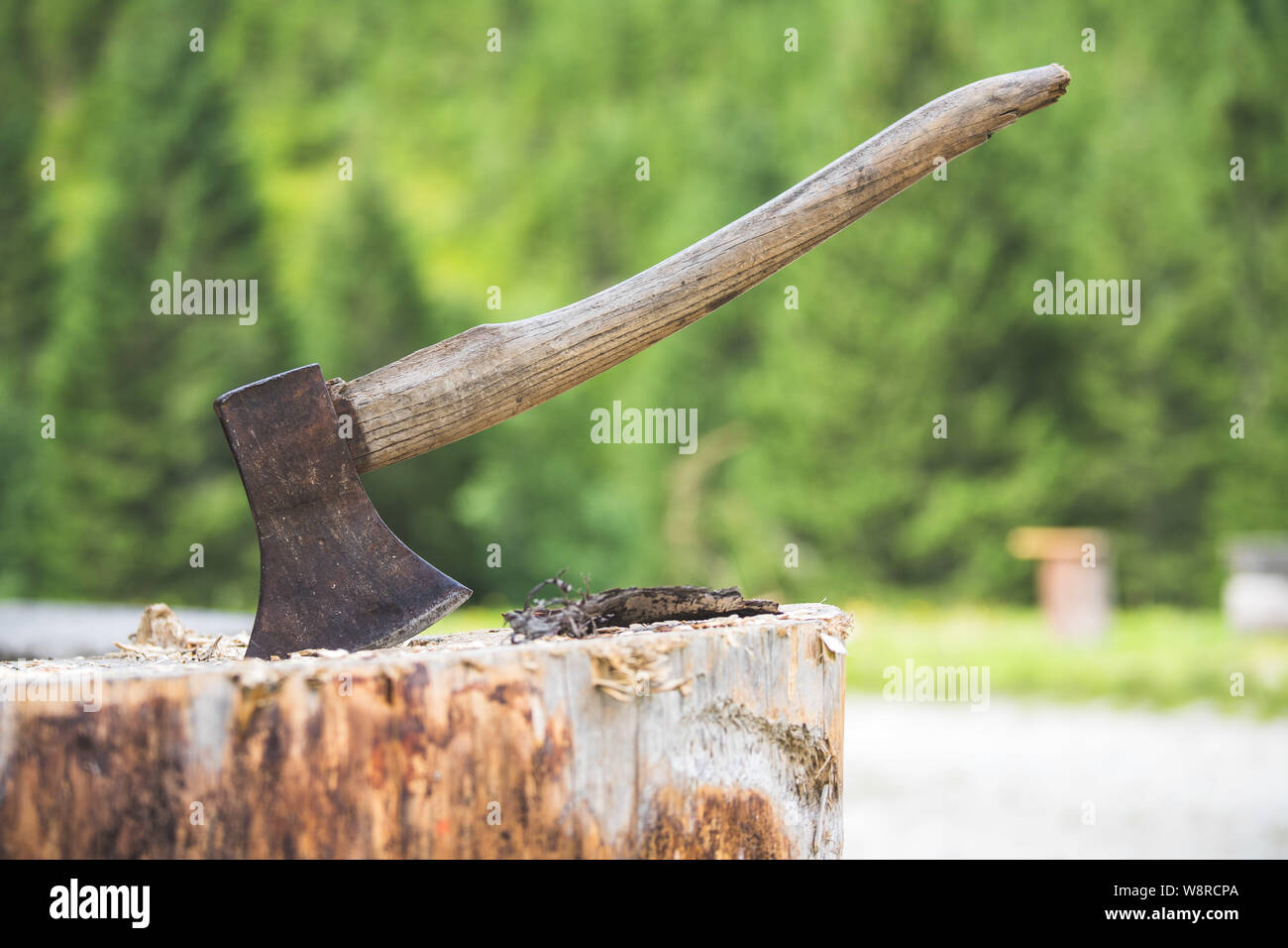 Old axe attached to a tree trunk, alpine hut Stock Photo - Alamy
