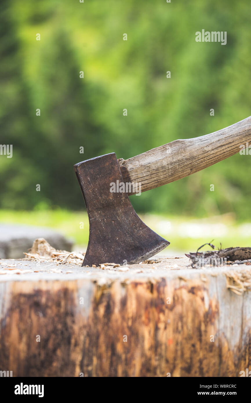 Old axe attached to a tree trunk, alpine hut Stock Photo - Alamy