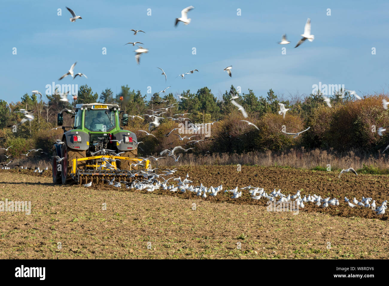 a large tractor pulling a plough across farmland or agricultural land ...