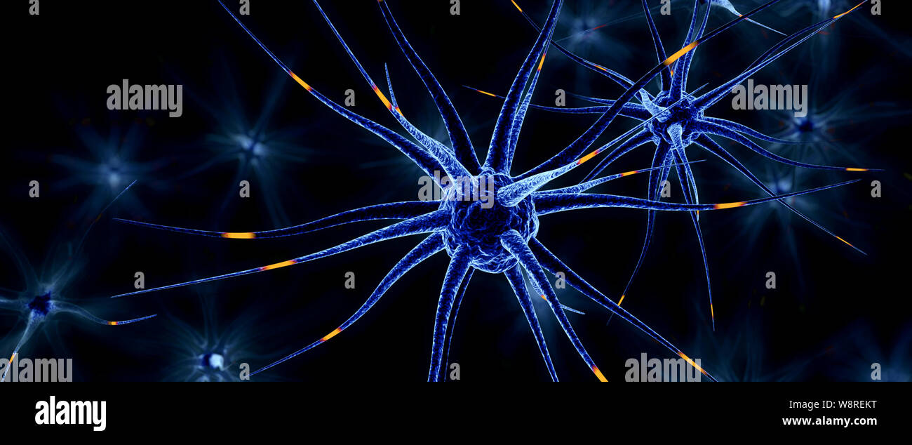 Neuronal cells, 3d illustration on black background Stock Photo - Alamy