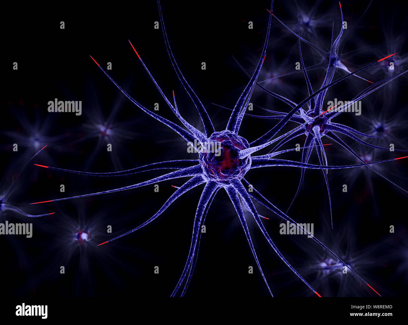Neuronal cells, 3d illustration on black background Stock Photo - Alamy