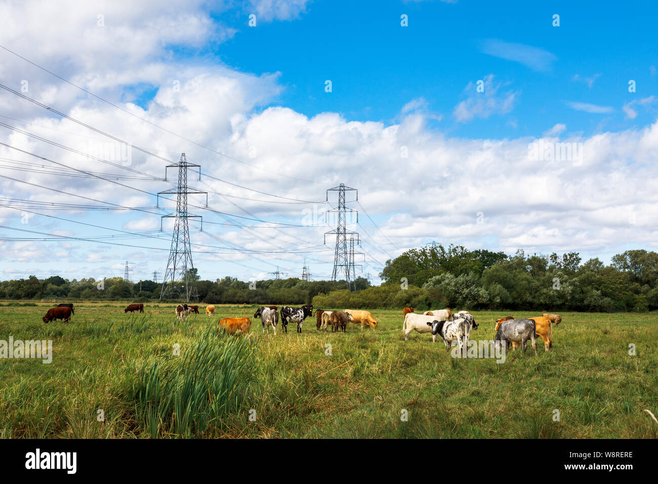 Test way, hants hi-res stock photography and images - Alamy