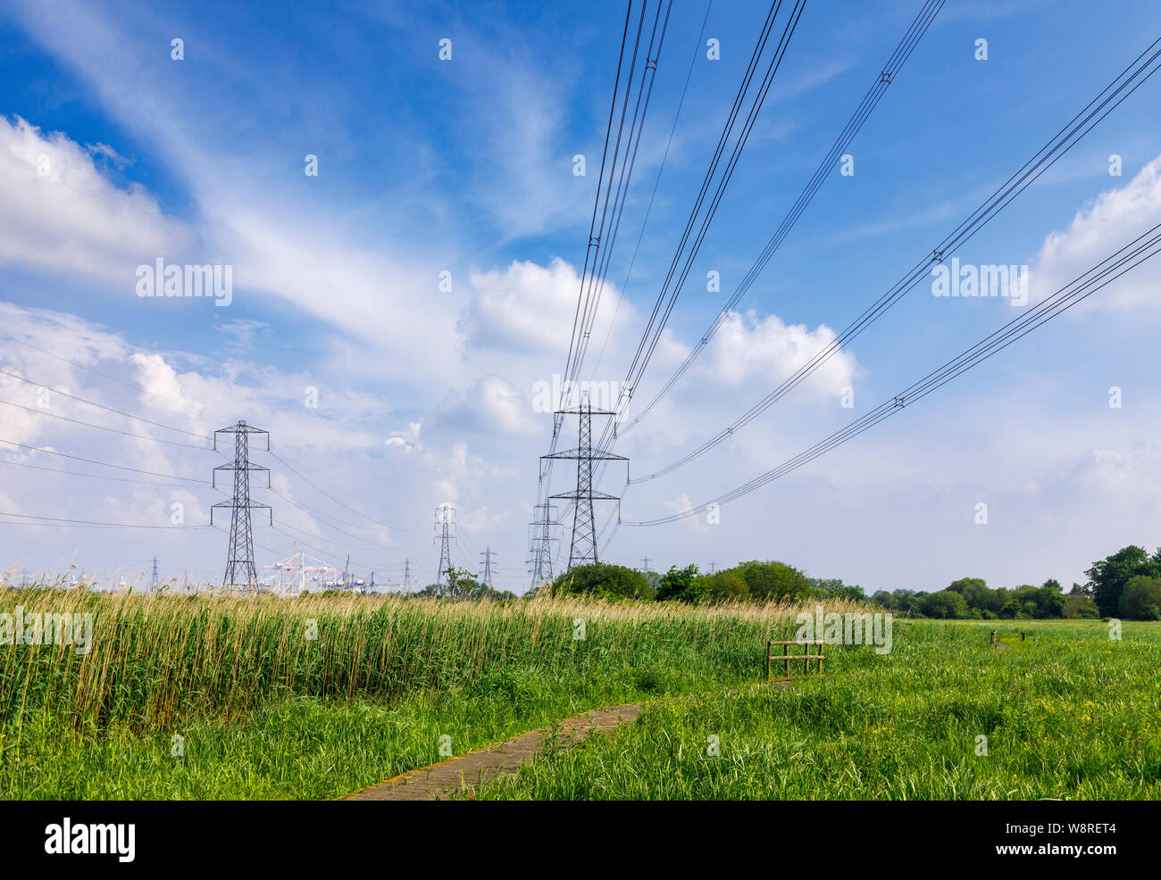 Boardwalk and electricity pylons at Lower Test Nature Reserve, Totton ...
