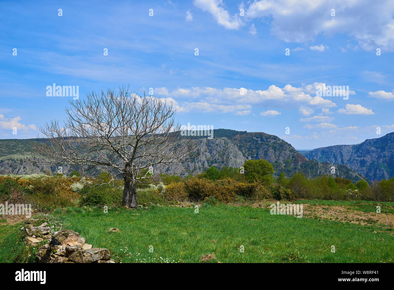 Green oudoors hi-res stock photography and images - Alamy