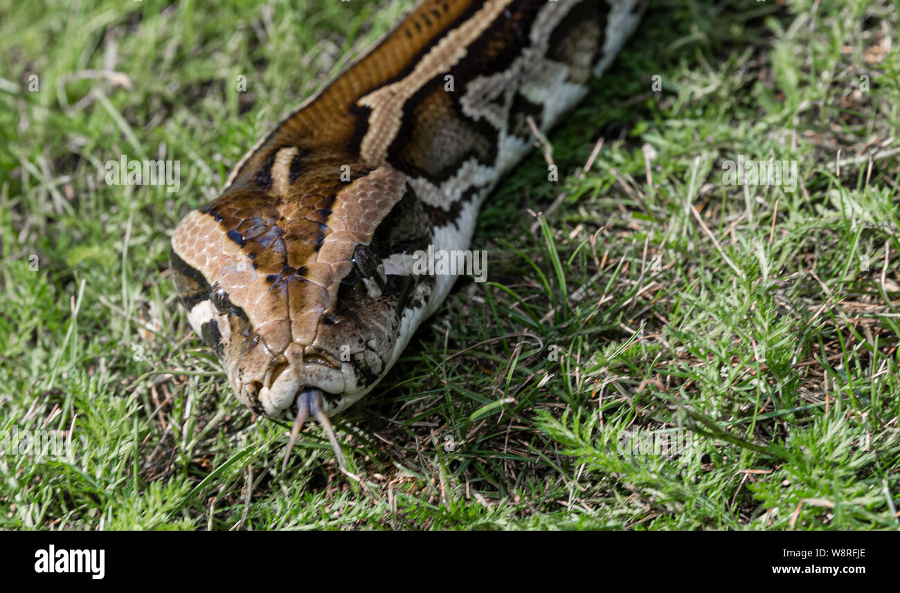 Long disappeared hi-res stock photography and images - Alamy