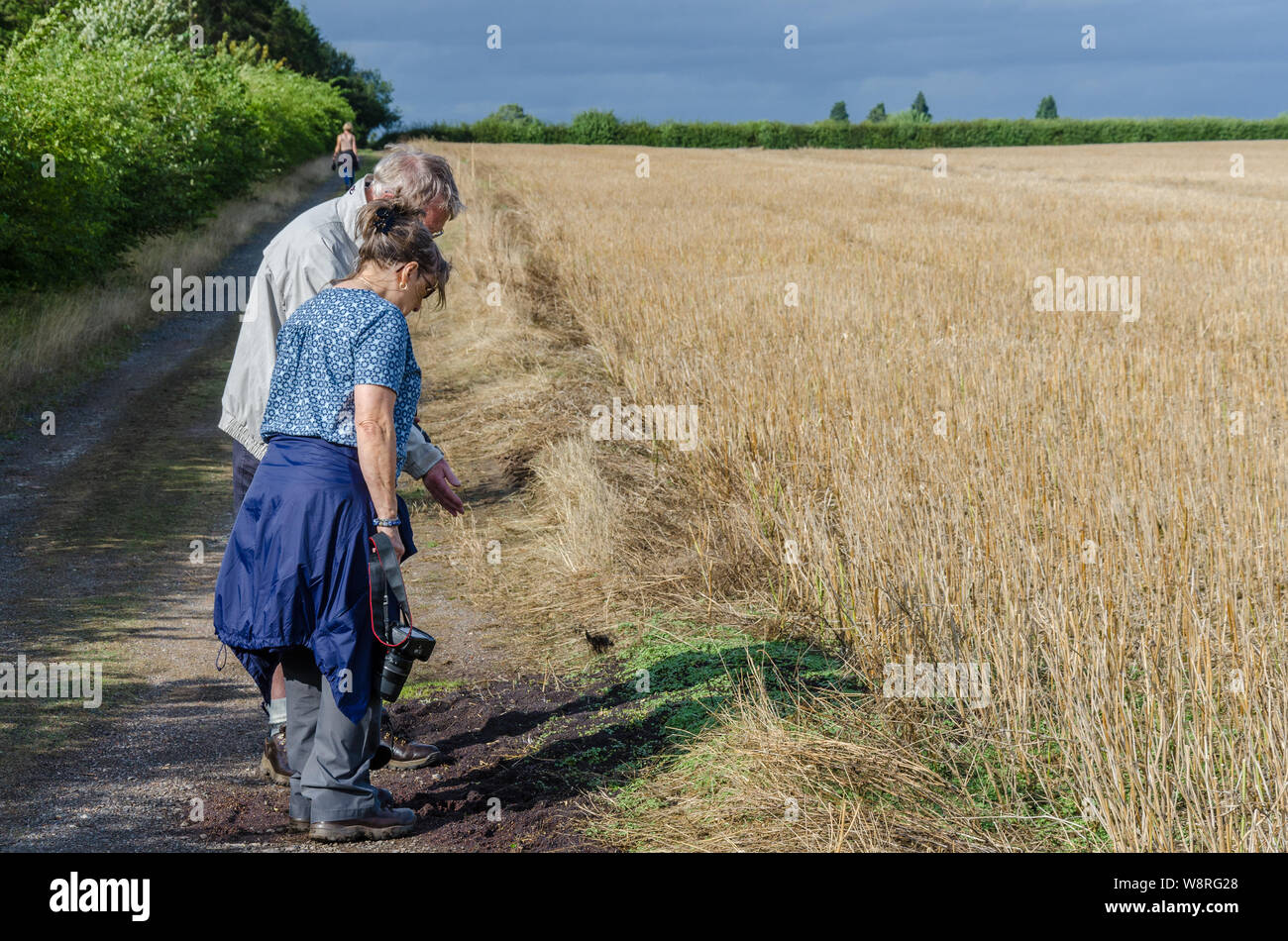 Couple walk countryside hi-res stock photography and images - Alamy