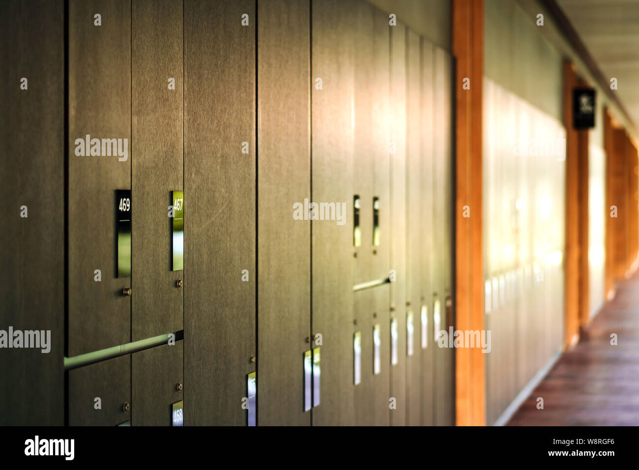 Lockers room for storing musical instruments in music schools Stock ...