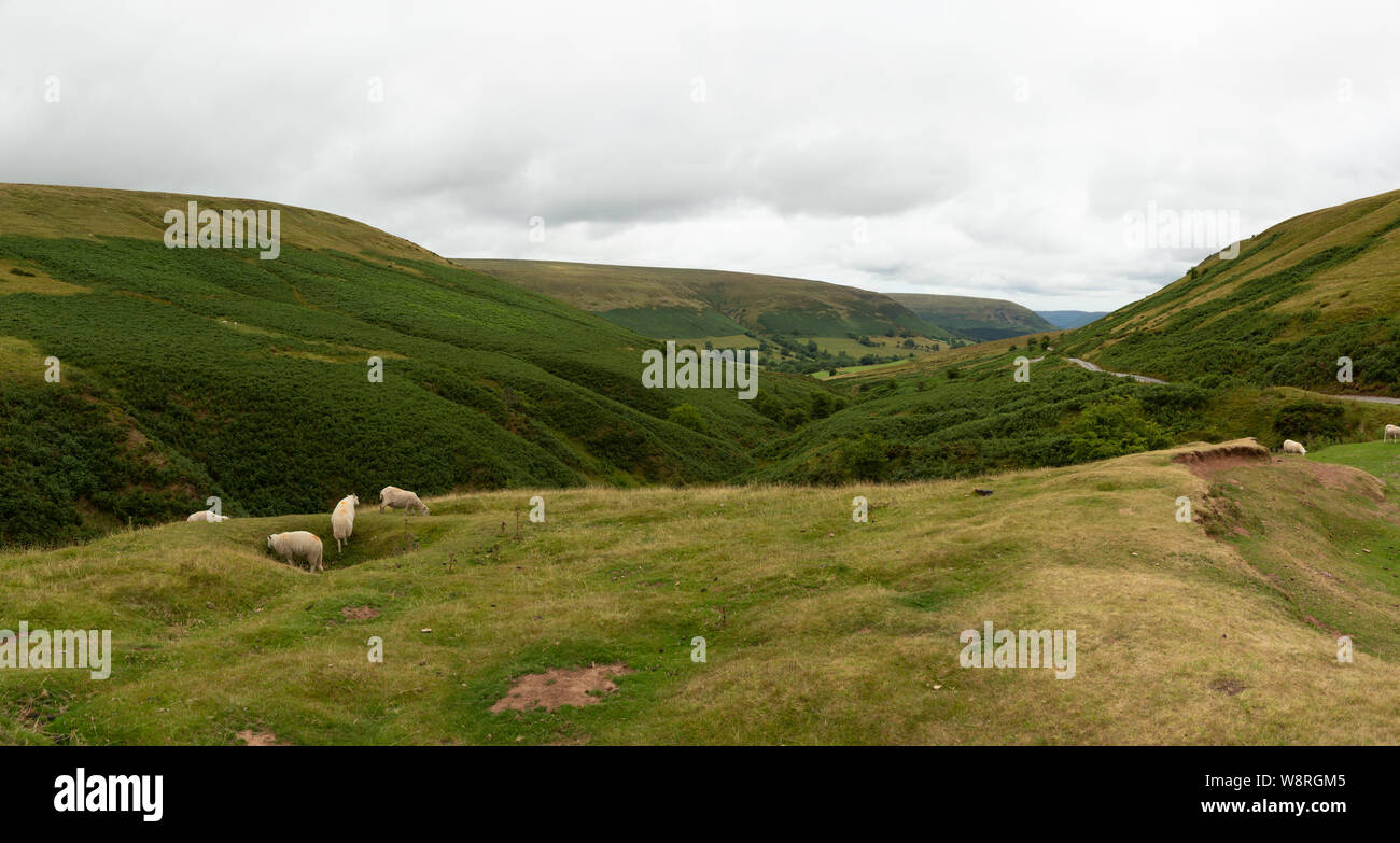 panoramic view of the Welsh countryside Stock Photo - Alamy