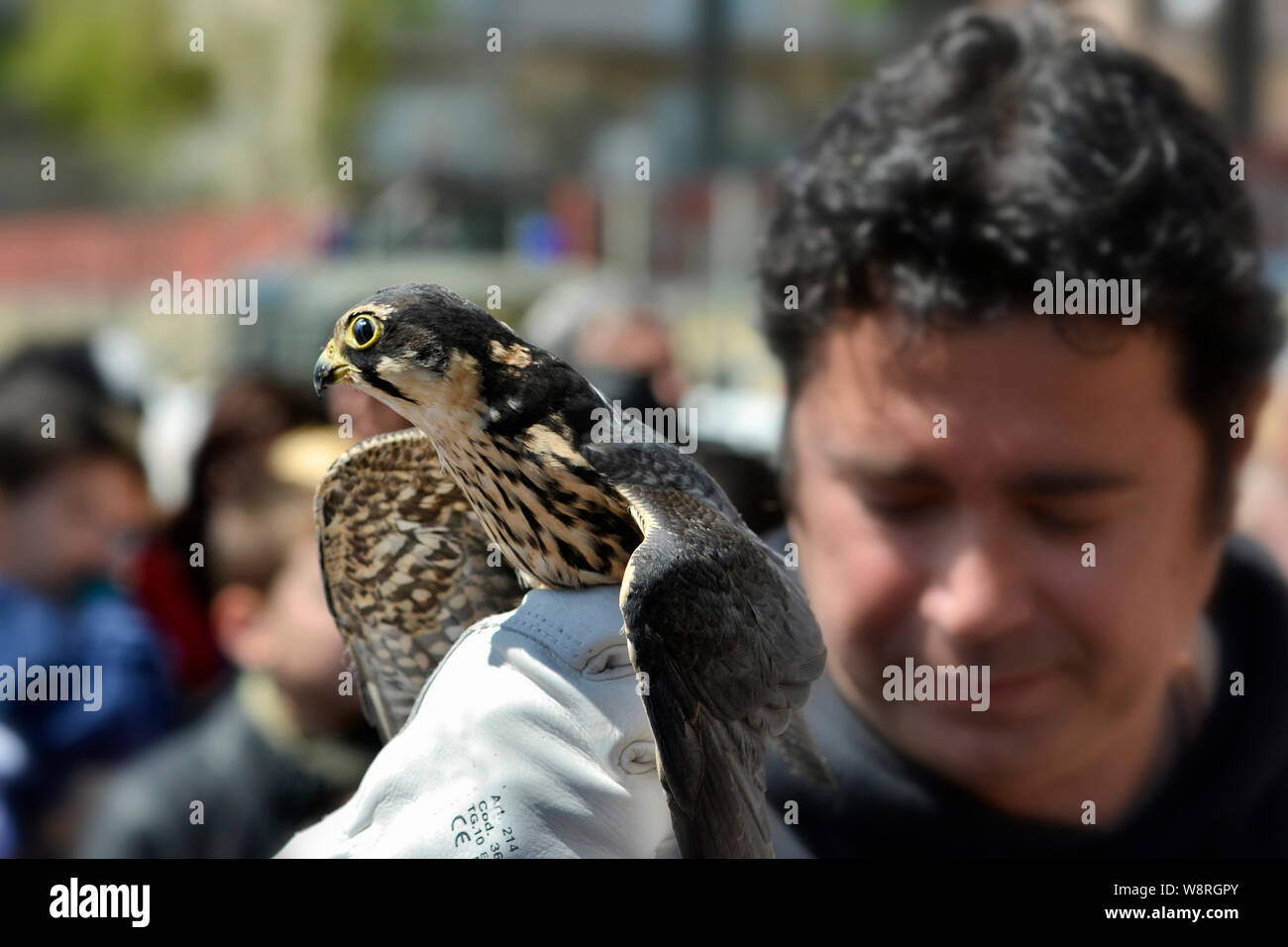 National park rangers uniform hi-res stock photography and images - Alamy