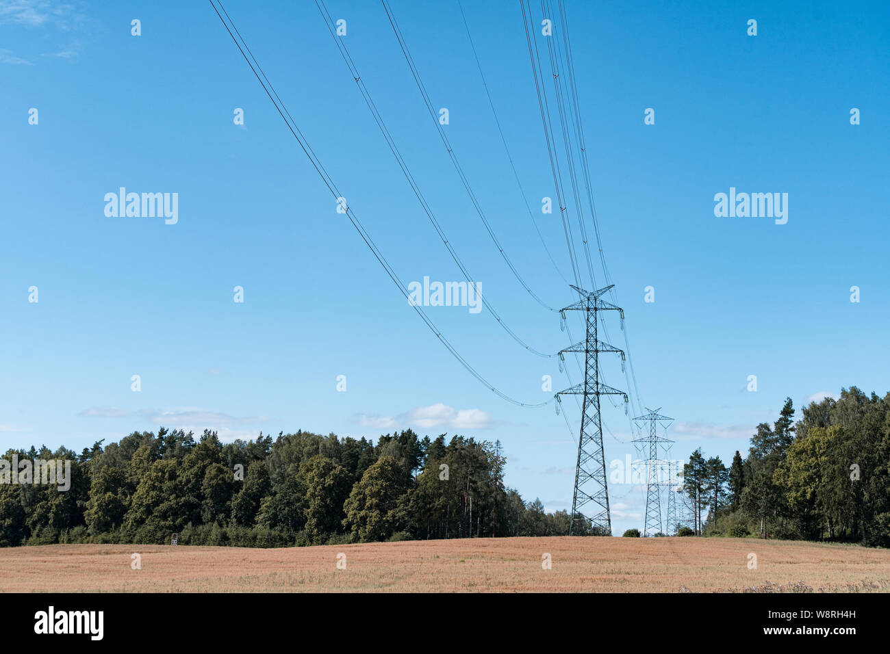 Electricity overhead power lines on a wheat field in a countryside ...