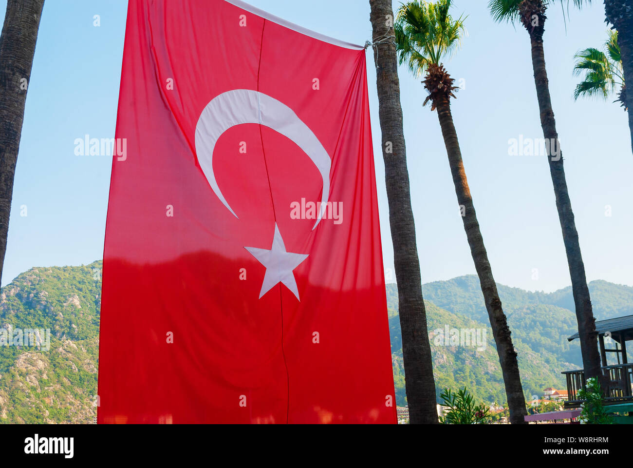 Turkey flag pulled on palm trees with sky and mountains background ...