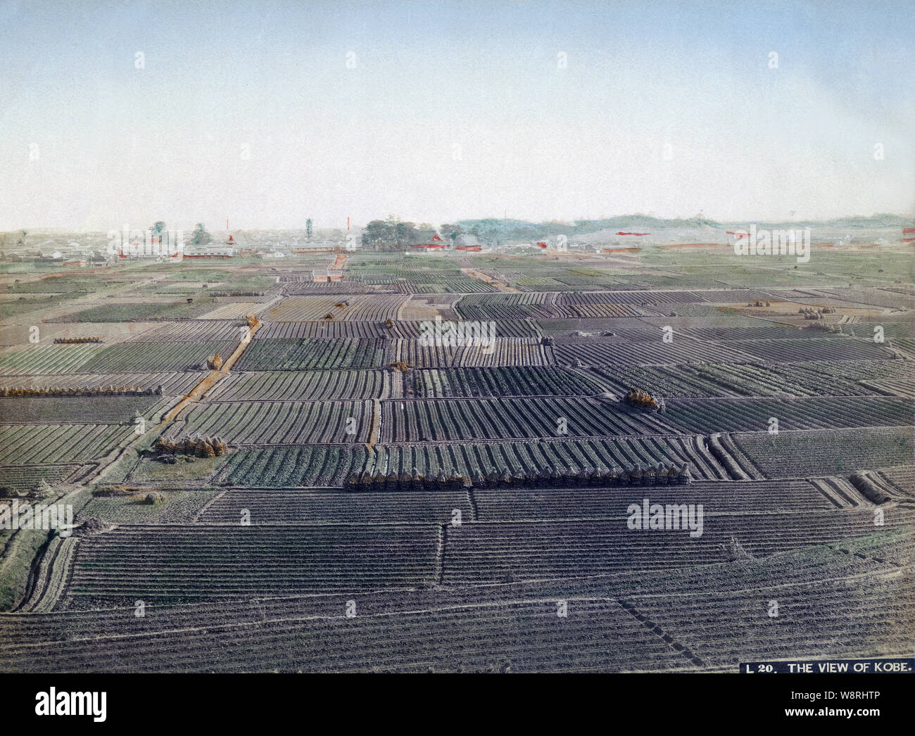 [ 1890s Japan - Harvest Time in Kobe ] — Panoramic view of rural fields ...