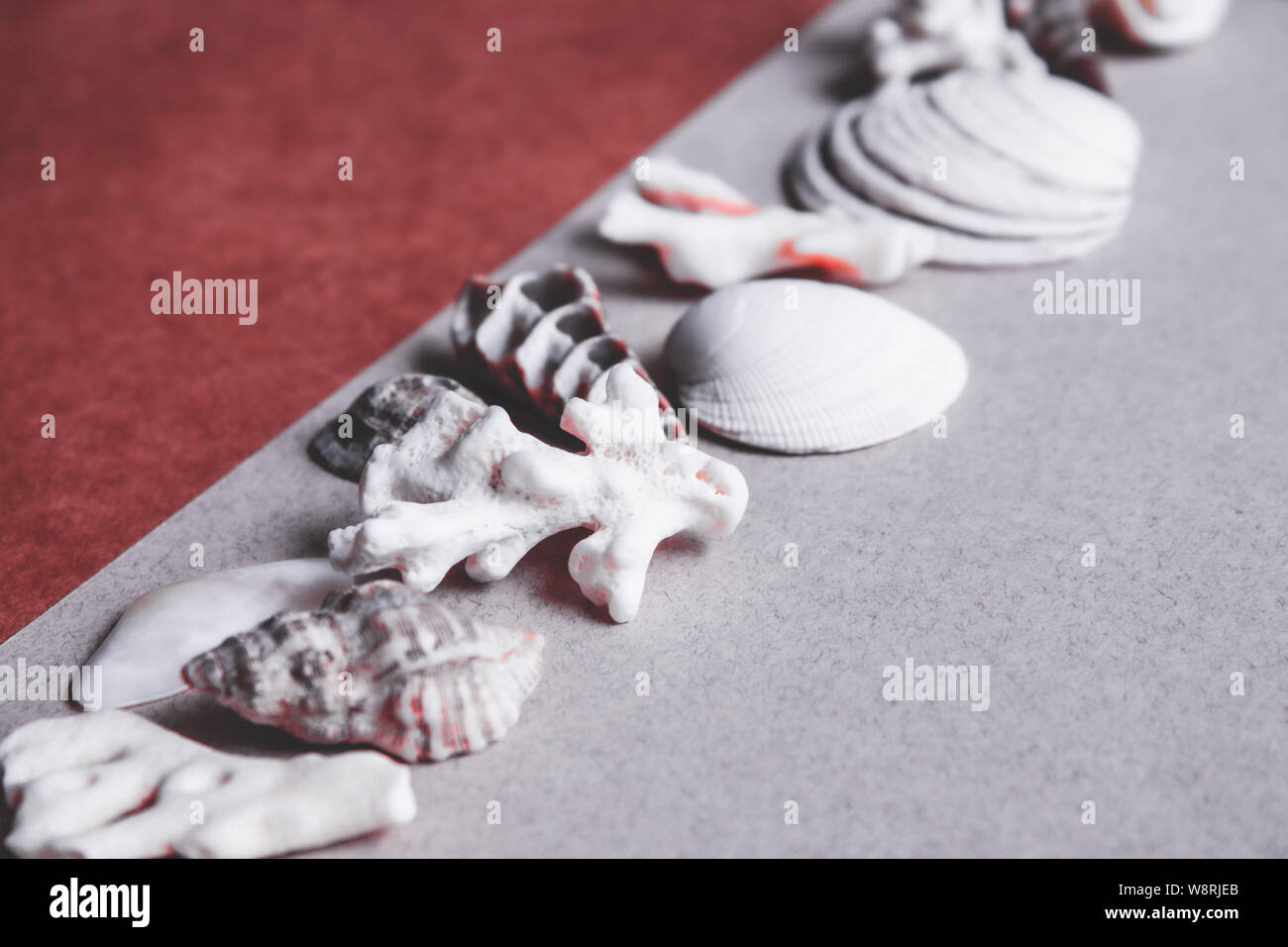 Sea shells, stones, mussels and corals background Stock Photo - Alamy