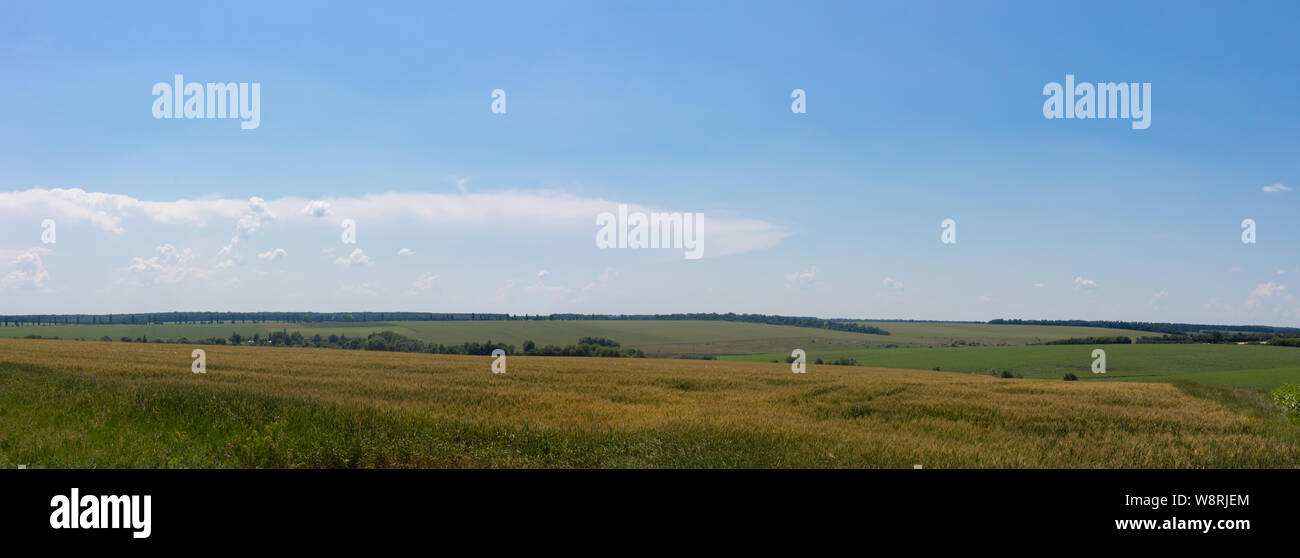 Field activities hi-res stock photography and images - Alamy