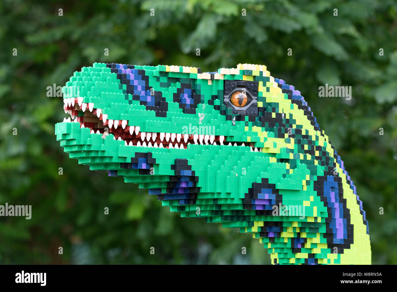 Lego dinosaur display Stock Photo - Alamy