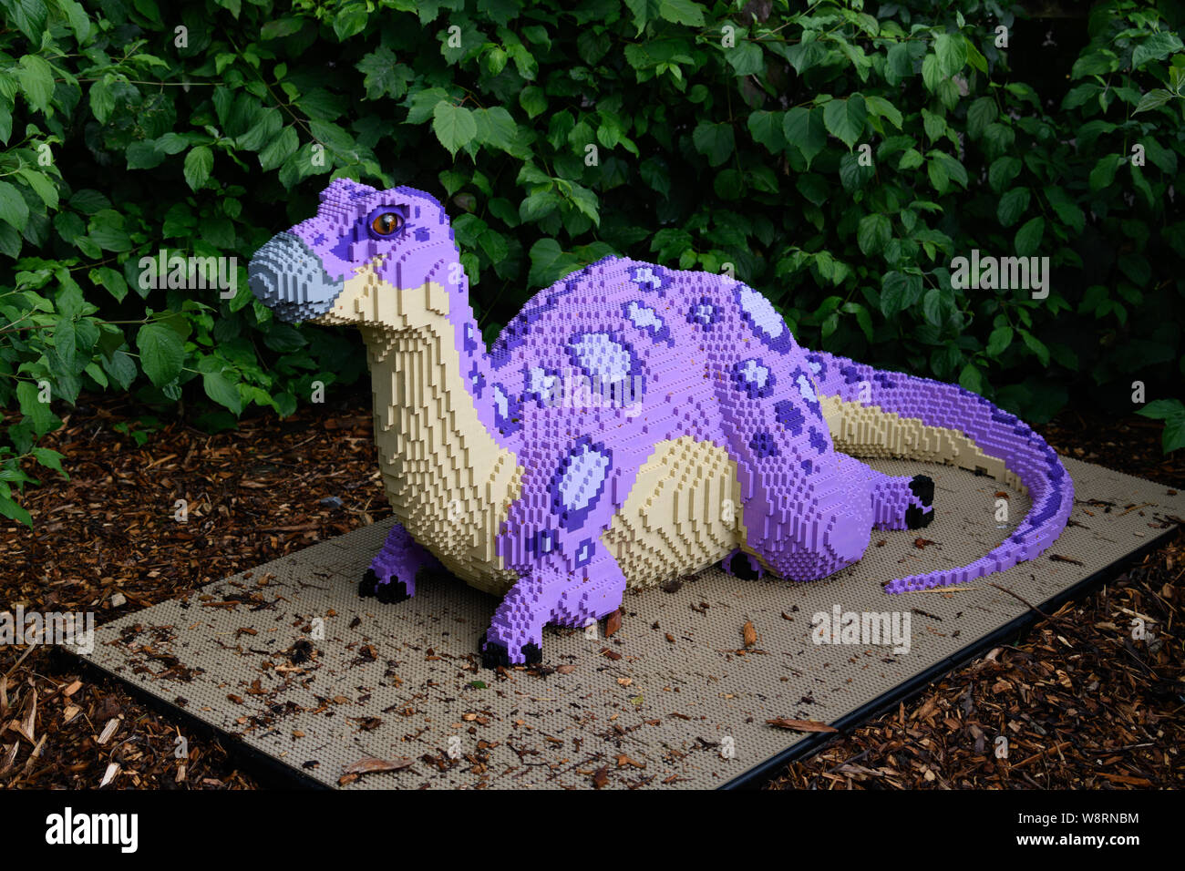 Lego dinosaur display Stock Photo - Alamy