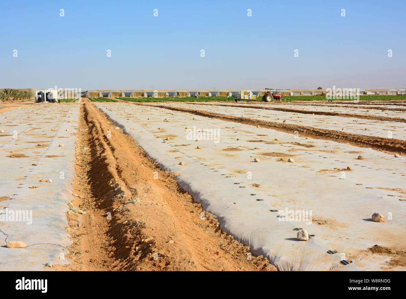 Israel agriculture technology hi-res stock photography and images - Alamy