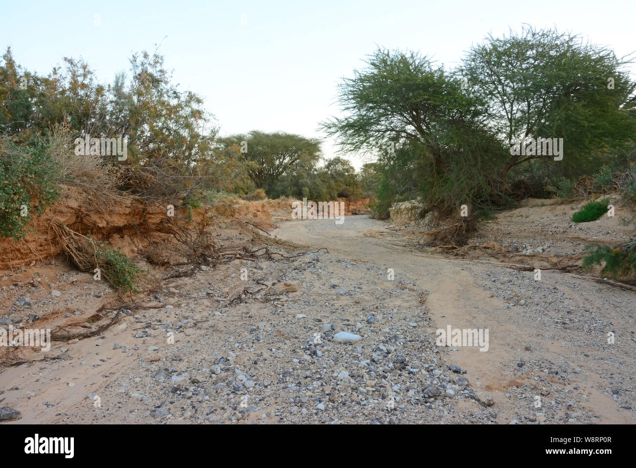 River bed pebbles hi-res stock photography and images - Alamy