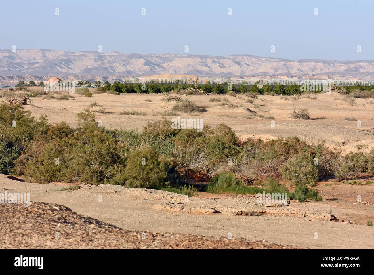 Community in the desert, Israel Stock Photo - Alamy